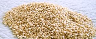 Ősi gabonák – A quinoa (kínva) | 108.hu Magazin és Életmódközpont